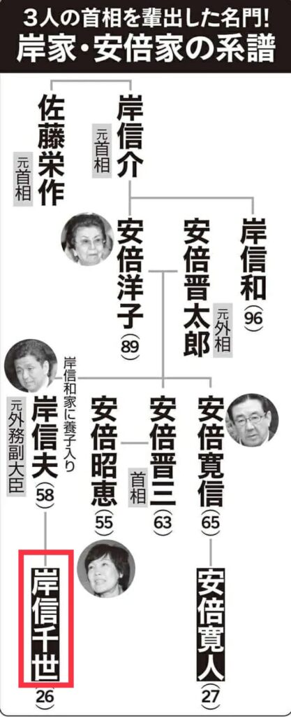 【超簡単】岸信千世の家系図を分かりやすく解説！生い立ち•プロフィールまとめ | ミーハージャーナル